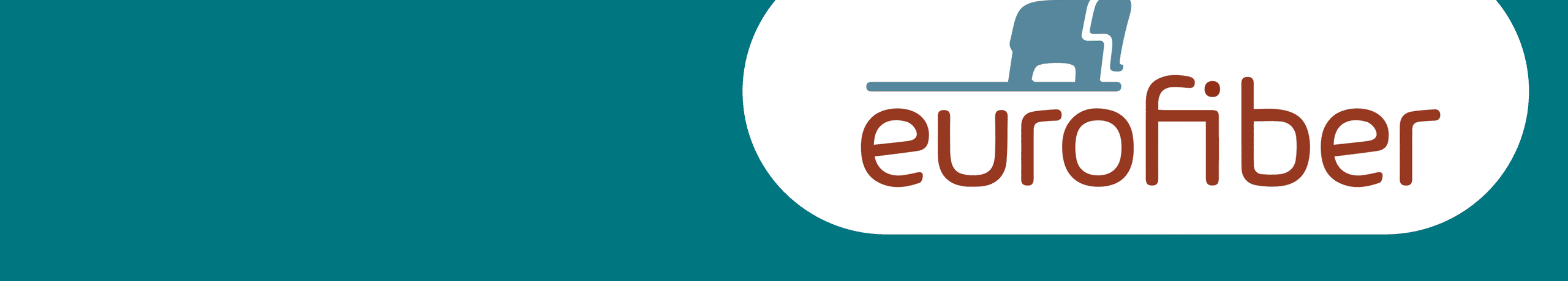 Our logo | Eurofiber